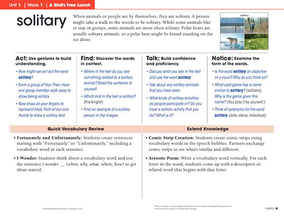 Express! - View Virtual Samples